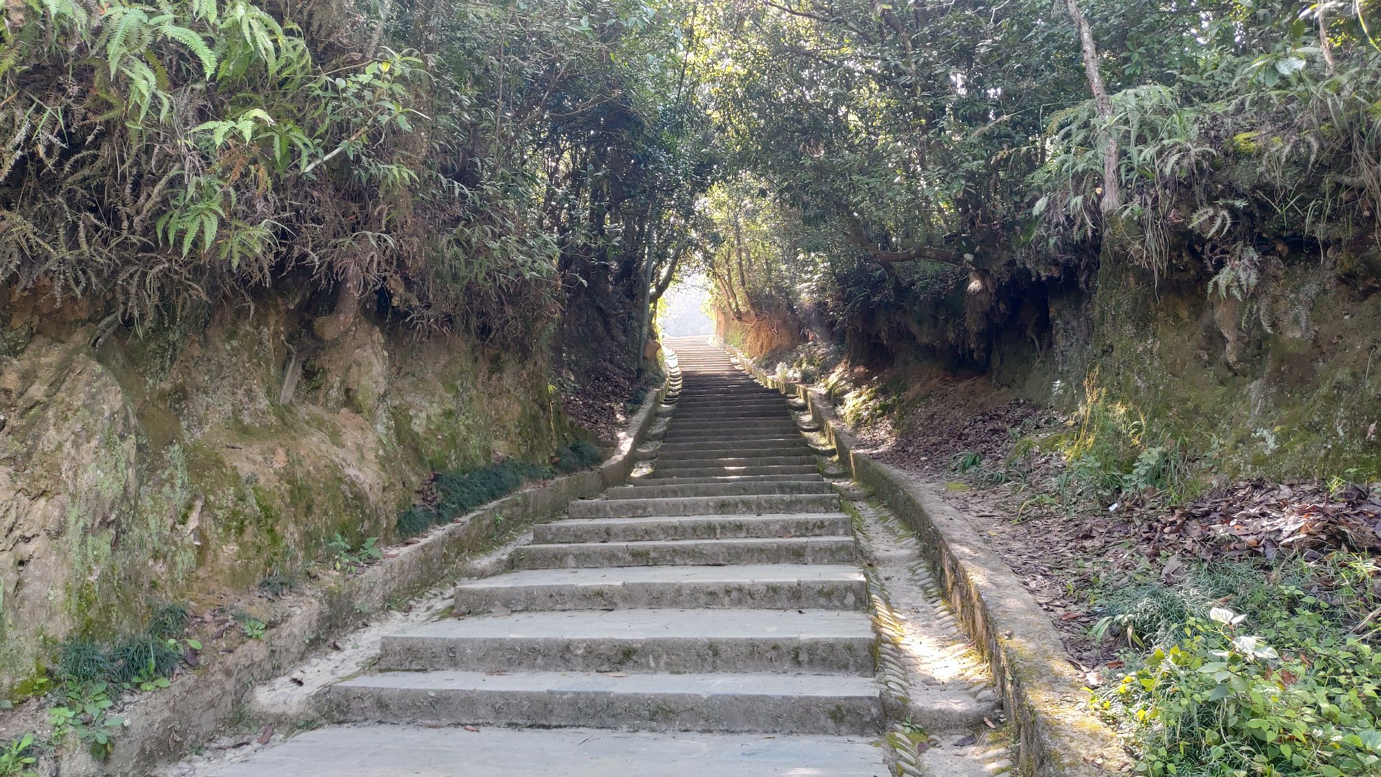 P_20191111_100427 1000 steps – Plan Himalaya